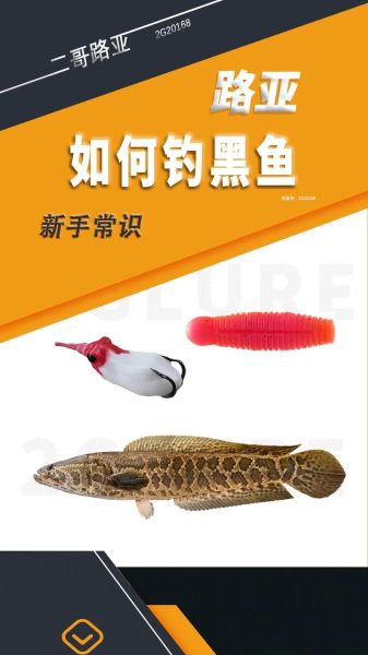黑鱼怎么钓才容易上钩_黑鱼钓法技巧-第1张图片-山城妙识 黑鱼怎么钓才容易上钩_黑鱼钓法技巧-第1张图片-山城妙识