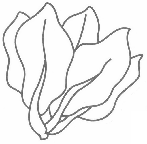 菠菜卡通图片怎么画_菠菜简笔画步骤-第1张图片-山城妙识