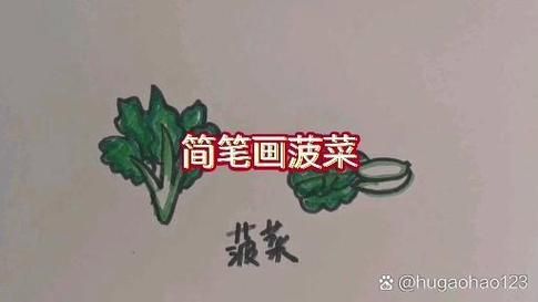 菠菜卡通图片怎么画_菠菜简笔画步骤-第2张图片-山城妙识