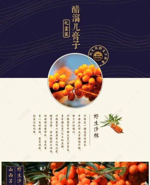 醋溜儿小说怎么下载_醋溜儿小说最新地址在哪-第3张图片-山城妙识