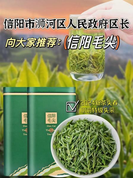 毛尖茶多少钱一斤_正宗信阳毛尖价格区间-第1张图片-山城妙识