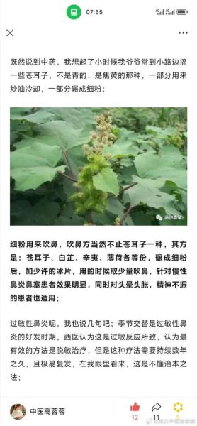 鼻炎偏方真的有用吗_鼻炎偏方简直太神了-第3张图片-山城妙识