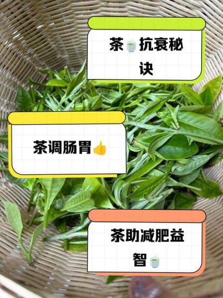 喝茶叶有什么好处_茶叶的功效与作用-第2张图片-山城妙识