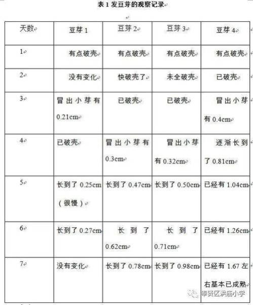 黄豆一周成长记录_如何观察发芽全过程-第1张图片-山城妙识 黄豆一周成长记录_如何观察发芽全过程-第1张图片-山城妙识