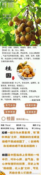 龙眼肉的功效与作用_龙眼肉怎么吃最补血-第1张图片-山城妙识 龙眼肉的功效与作用_龙眼肉怎么吃最补血-第1张图片-山城妙识