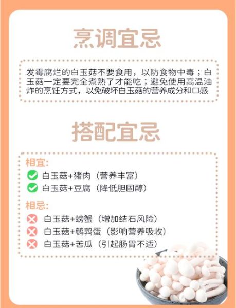 海鲜菇和白玉菇一样吗_区别与选购指南-第2张图片-山城妙识 海鲜菇和白玉菇一样吗_区别与选购指南-第2张图片-山城妙识