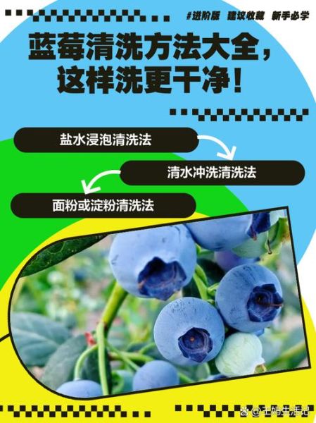 蓝莓怎么洗才干净_蓝莓清洗的正确方法-第1张图片-山城妙识