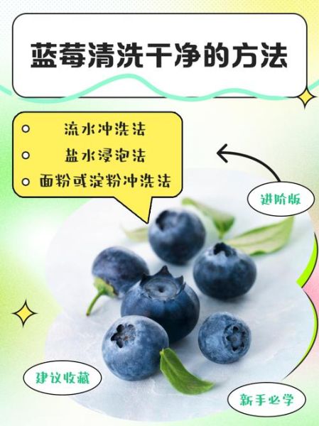 蓝莓怎么洗才干净_蓝莓清洗的正确方法-第2张图片-山城妙识