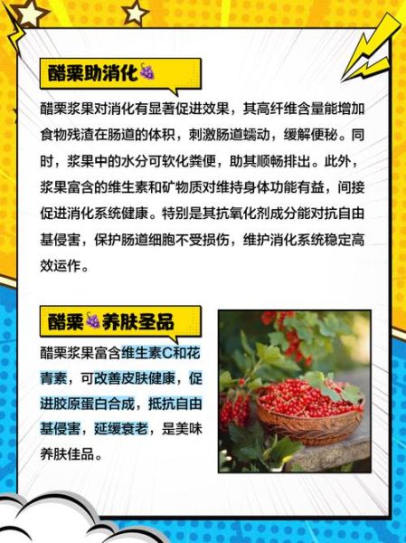 醋栗的功效与作用_醋栗怎么吃效果最好-第1张图片-山城妙识
