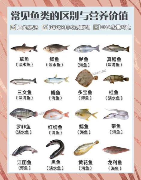 鱼类大全名称图片大全_淡水鱼种类有哪些-第3张图片-山城妙识 鱼类大全名称图片大全_淡水鱼种类有哪些-第3张图片-山城妙识