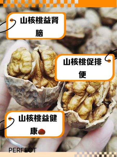 山核桃的营养价值_孕妇能吃山核桃吗-第1张图片-山城妙识 山核桃的营养价值_孕妇能吃山核桃吗-第1张图片-山城妙识