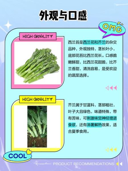 芥兰苗图片_芥兰苗和西兰花苗区别-第1张图片-山城妙识