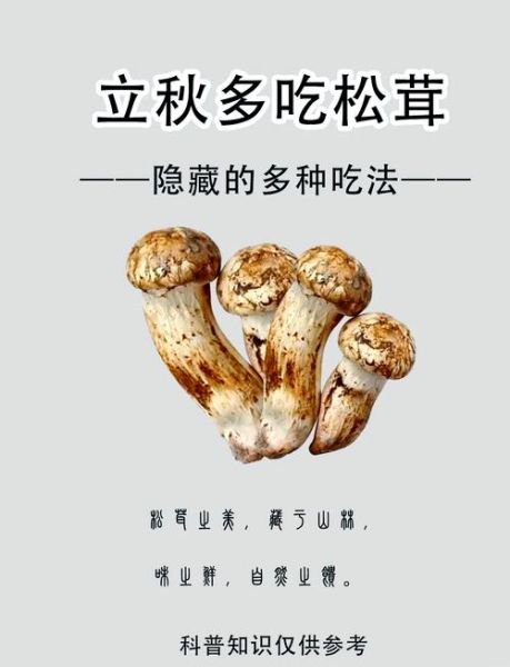 鲜松茸怎么做最好吃_鲜松茸吃法大全-第3张图片-山城妙识 鲜松茸怎么做最好吃_鲜松茸吃法大全-第3张图片-山城妙识