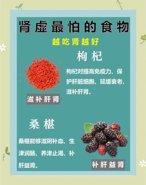 肾阳虚吃什么食物好_肾阳虚最佳10食物-第2张图片-山城妙识