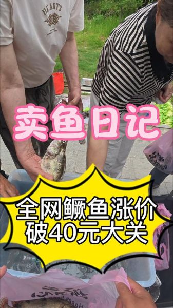 鳜鱼价格今日价_鳜鱼多少钱一斤-第2张图片-山城妙识