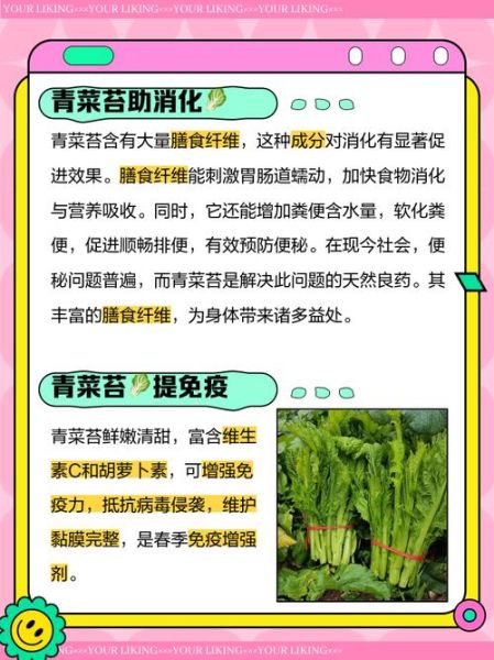 苔菜的营养价值_苔菜的功效与作用-第1张图片-山城妙识 苔菜的营养价值_苔菜的功效与作用-第1张图片-山城妙识