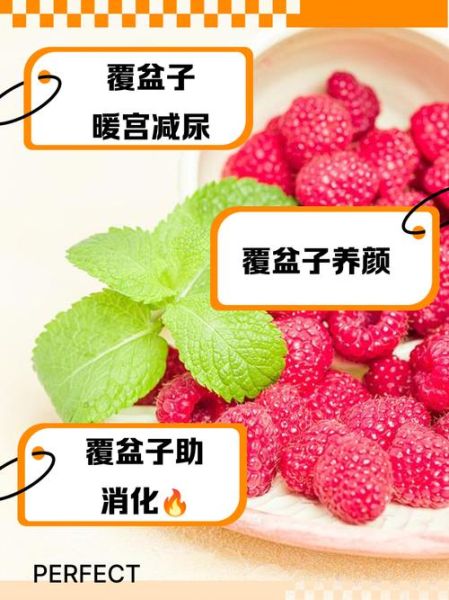 覆盆子酒的功效与作用禁忌_覆盆子酒适合什么人喝-第3张图片-山城妙识 覆盆子酒的功效与作用禁忌_覆盆子酒适合什么人喝-第3张图片-山城妙识