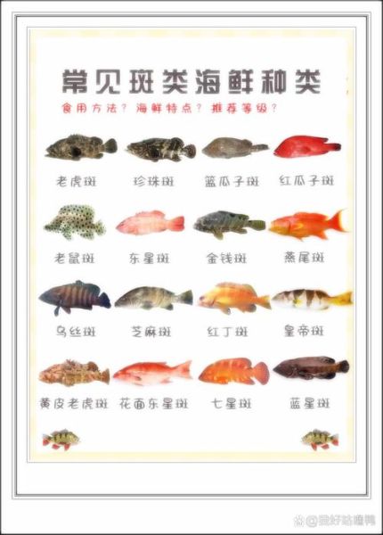 东星斑饭店人均价格_东星斑饭店贵吗-第3张图片-山城妙识 东星斑饭店人均价格_东星斑饭店贵吗-第3张图片-山城妙识