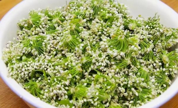 韭菜花怎么腌制好吃_韭菜花家常做法-第1张图片-山城妙识 韭菜花怎么腌制好吃_韭菜花家常做法-第1张图片-山城妙识