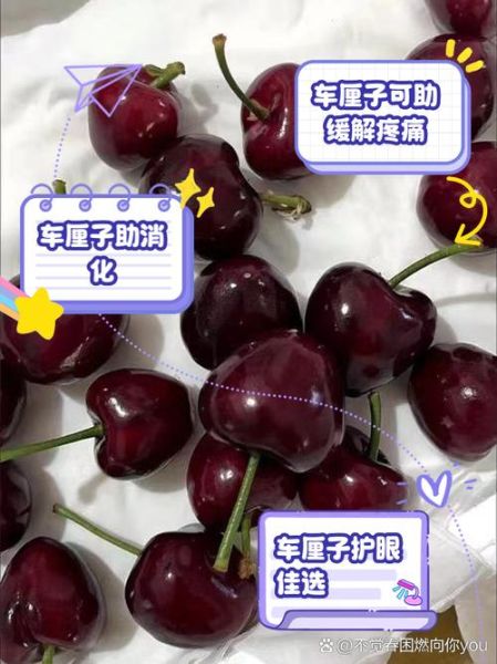 车厘子的功效与作用及禁忌_哪些人不能吃-第1张图片-山城妙识