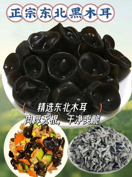 黑木尔有什么功效_黑木尔怎么吃效果最好-第1张图片-山城妙识 黑木尔有什么功效_黑木尔怎么吃效果最好-第1张图片-山城妙识