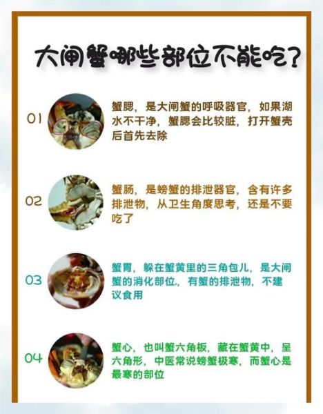 大闸蟹哪些部位不能吃_大闸蟹不能吃的部位图解-第1张图片-山城妙识