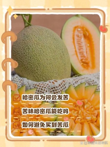 哈密瓜为什么苦_吃了会中毒吗-第2张图片-山城妙识 哈密瓜为什么苦_吃了会中毒吗-第2张图片-山城妙识