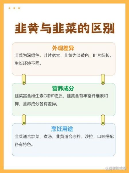 韭黄和韭菜哪个营养高_韭黄和韭菜营养价值对比-第1张图片-山城妙识 韭黄和韭菜哪个营养高_韭黄和韭菜营养价值对比-第1张图片-山城妙识