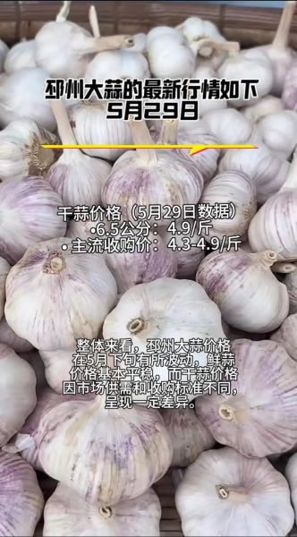 邳州大蒜今日价格_邳州大蒜多少钱一斤-第2张图片-山城妙识 邳州大蒜今日价格_邳州大蒜多少钱一斤-第2张图片-山城妙识