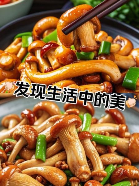 鸡腿菇怎么做好吃_鸡腿菇的家常做法大全-第1张图片-山城妙识