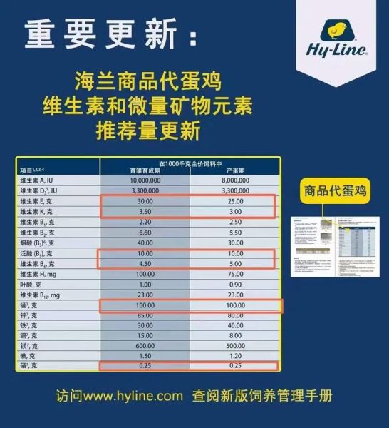 蛋鸡养殖成本与利润_蛋鸡养殖赚钱吗-第1张图片-山城妙识