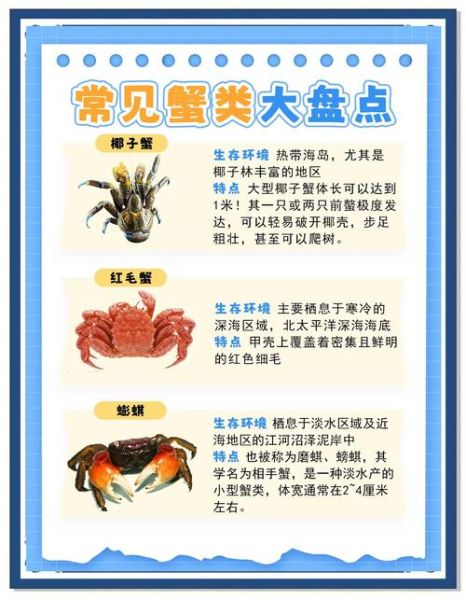 螃蟹哪些部位不能吃_图解说明-第1张图片-山城妙识