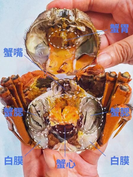 螃蟹哪些部位不能吃_图解说明-第3张图片-山城妙识