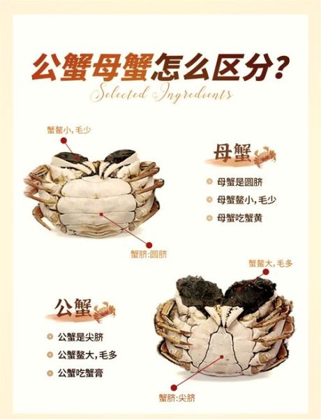 螃蟹哪些部位不能吃_图解说明-第2张图片-山城妙识