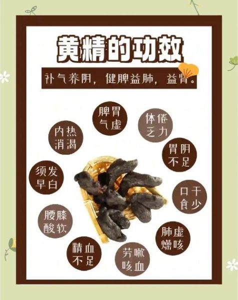 黄精的功效与作用禁忌_适合哪些人吃-第3张图片-山城妙识 黄精的功效与作用禁忌_适合哪些人吃-第3张图片-山城妙识