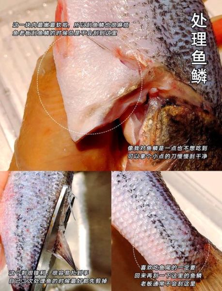 蒸鱼干怎么蒸才不腥_蒸鱼干需要提前泡多久-第3张图片-山城妙识