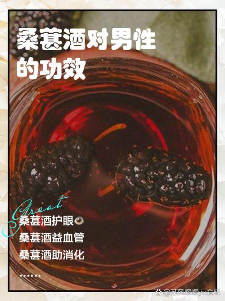 桑葚酒怎么酿_桑葚酒的做法步骤详解-第3张图片-山城妙识