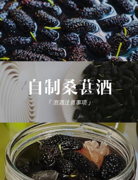 桑葚酒怎么酿_桑葚酒的做法步骤详解-第1张图片-山城妙识