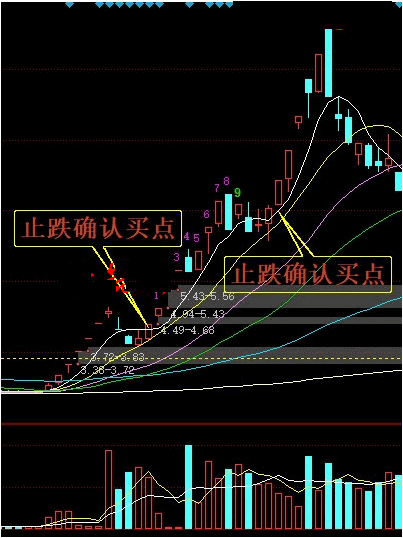 蚂蚁上树形态图解_如何识别真假突破-第3张图片-山城妙识