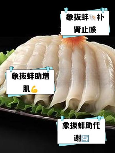 象拔蚌真的可以壮阳吗_男人吃象拔蚌能提高性功能吗-第1张图片-山城妙识