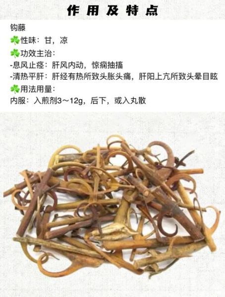 钩藤的功效与作用禁忌_钩藤泡水喝的副作用-第2张图片-山城妙识 钩藤的功效与作用禁忌_钩藤泡水喝的副作用-第2张图片-山城妙识