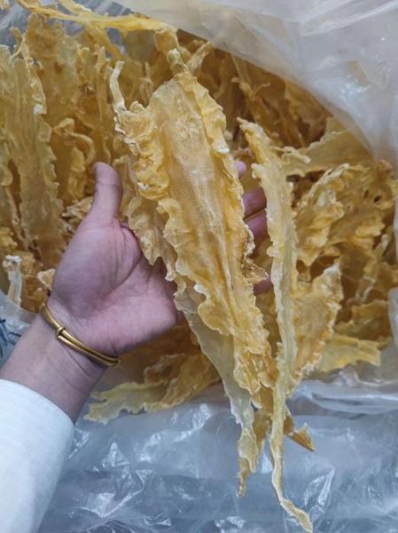 鳕鱼胶是花胶中差的吗_鳕鱼胶和花胶区别-第3张图片-山城妙识 鳕鱼胶是花胶中差的吗_鳕鱼胶和花胶区别-第3张图片-山城妙识