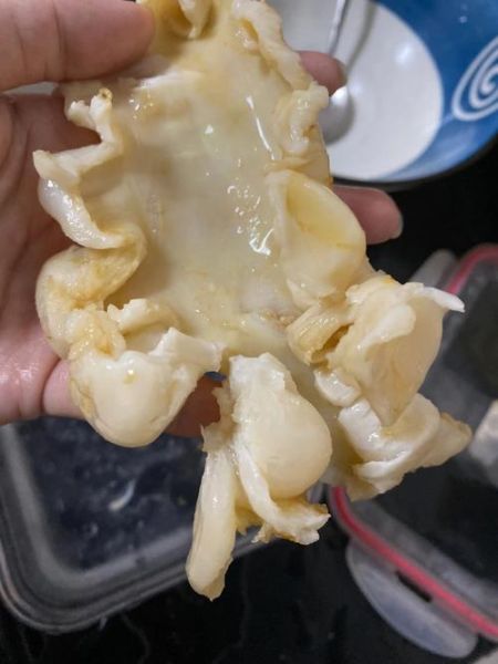 鳕鱼胶是花胶中差的吗_鳕鱼胶和花胶区别-第2张图片-山城妙识 鳕鱼胶是花胶中差的吗_鳕鱼胶和花胶区别-第2张图片-山城妙识