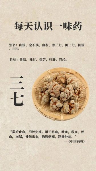田七的正确吃法_田七的功效与作用-第3张图片-山城妙识