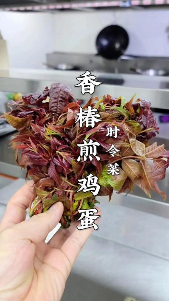 香椿炒鸡蛋怎么做_香椿炒鸡蛋的做法步骤-第1张图片-山城妙识 香椿炒鸡蛋怎么做_香椿炒鸡蛋的做法步骤-第1张图片-山城妙识