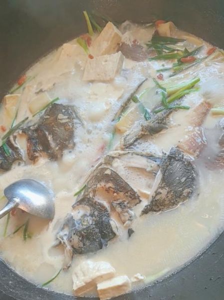 红烧鱼头汤怎么做_鱼头汤去腥技巧-第3张图片-山城妙识 红烧鱼头汤怎么做_鱼头汤去腥技巧-第3张图片-山城妙识