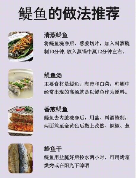 鳚鱼怎么养_鳚鱼吃什么-第1张图片-山城妙识