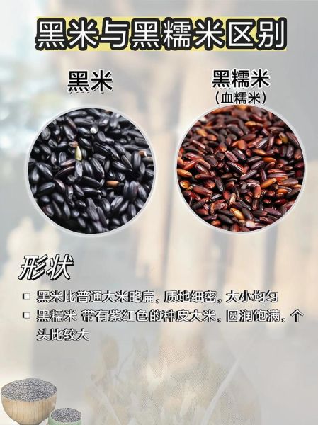 黑糯米是什么米_黑糯米和黑米一样吗-第1张图片-山城妙识 黑糯米是什么米_黑糯米和黑米一样吗-第1张图片-山城妙识
