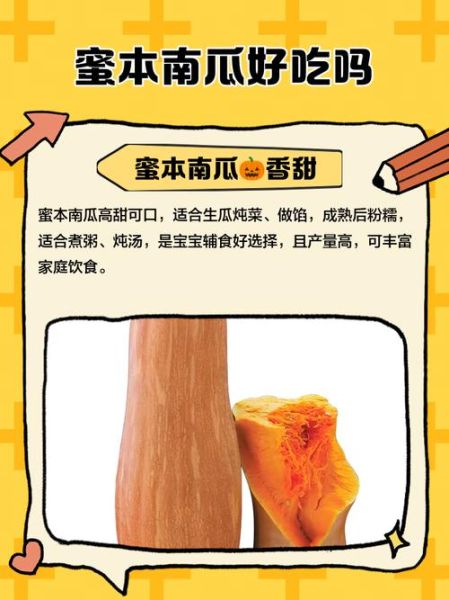 蜜本南瓜的功效与作用_蜜本南瓜怎么吃最营养-第1张图片-山城妙识 蜜本南瓜的功效与作用_蜜本南瓜怎么吃最营养-第1张图片-山城妙识