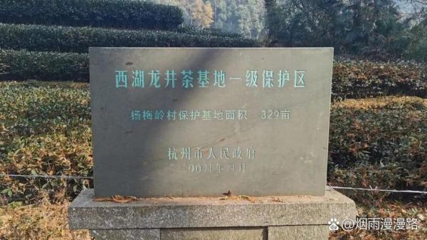 龙井茶产地在哪里_正宗西湖龙井核心产区-第1张图片-山城妙识 龙井茶产地在哪里_正宗西湖龙井核心产区-第1张图片-山城妙识